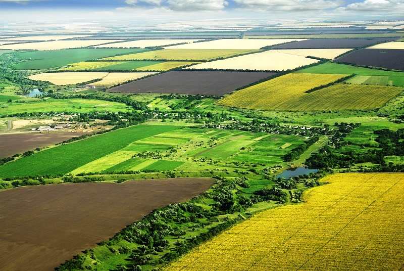 Sale of agribusiness in Russia, In the Krasnodar region KUBAN ...